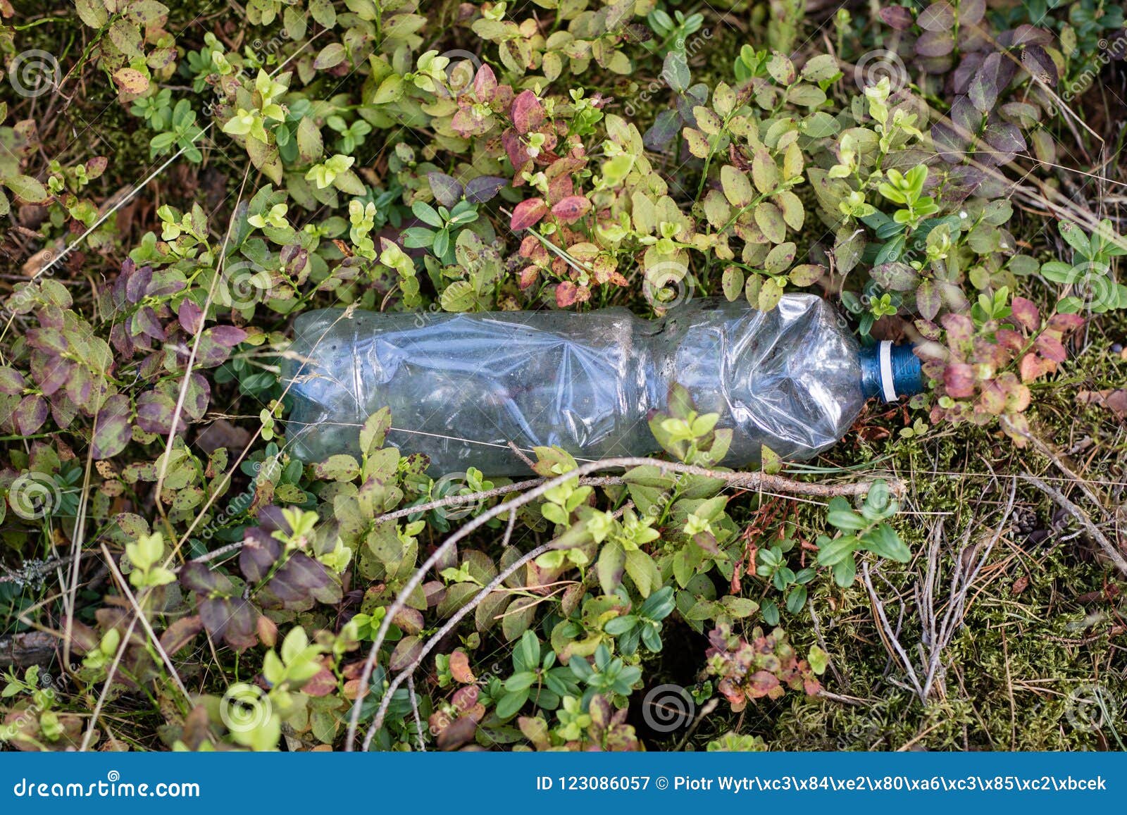 Plastic Garbage Left in the Forest. Littered with the Natural En Stock ...