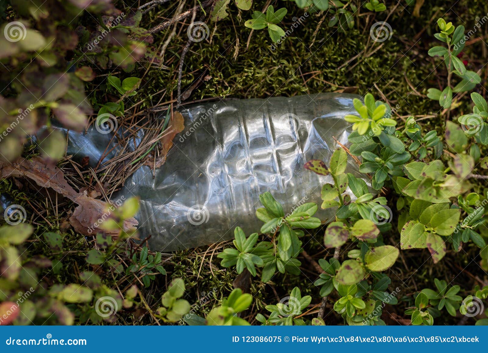Plastic Garbage Left in the Forest. Littered with the Natural En Stock ...