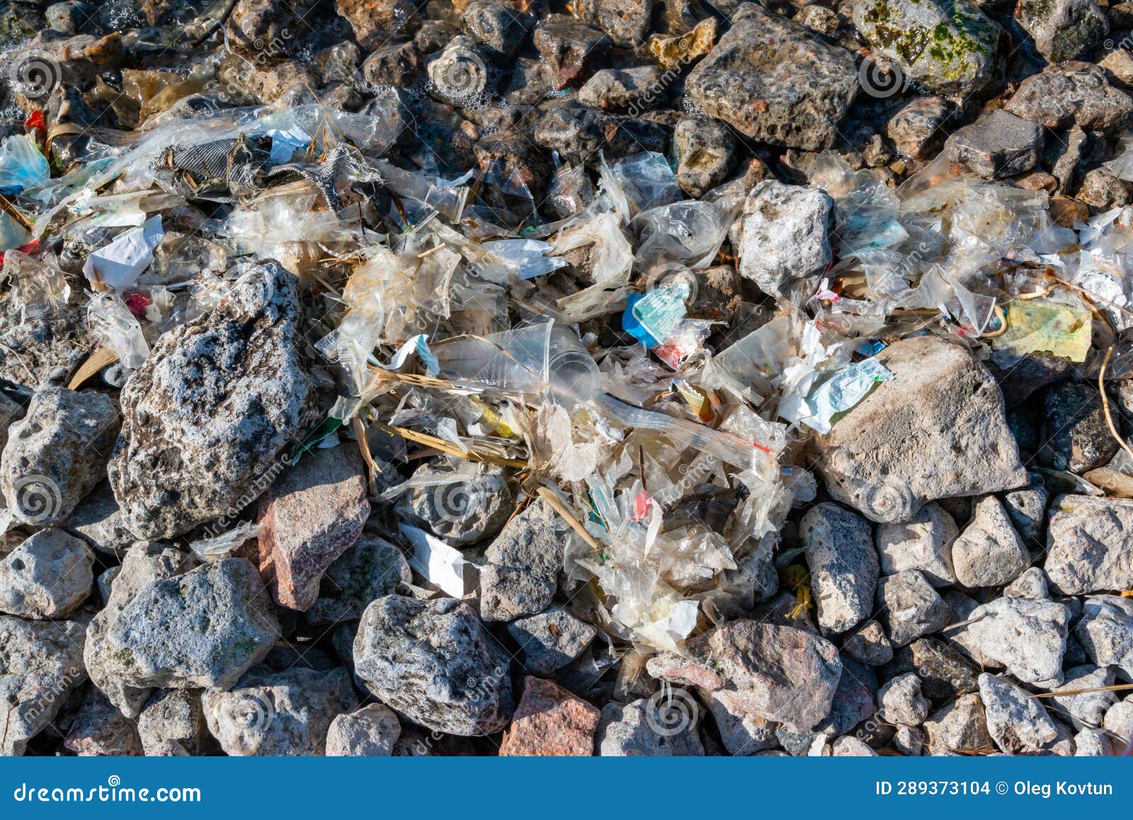Plastic Garbage and Microplastics on the Shore of Khadzhibey Estuary ...