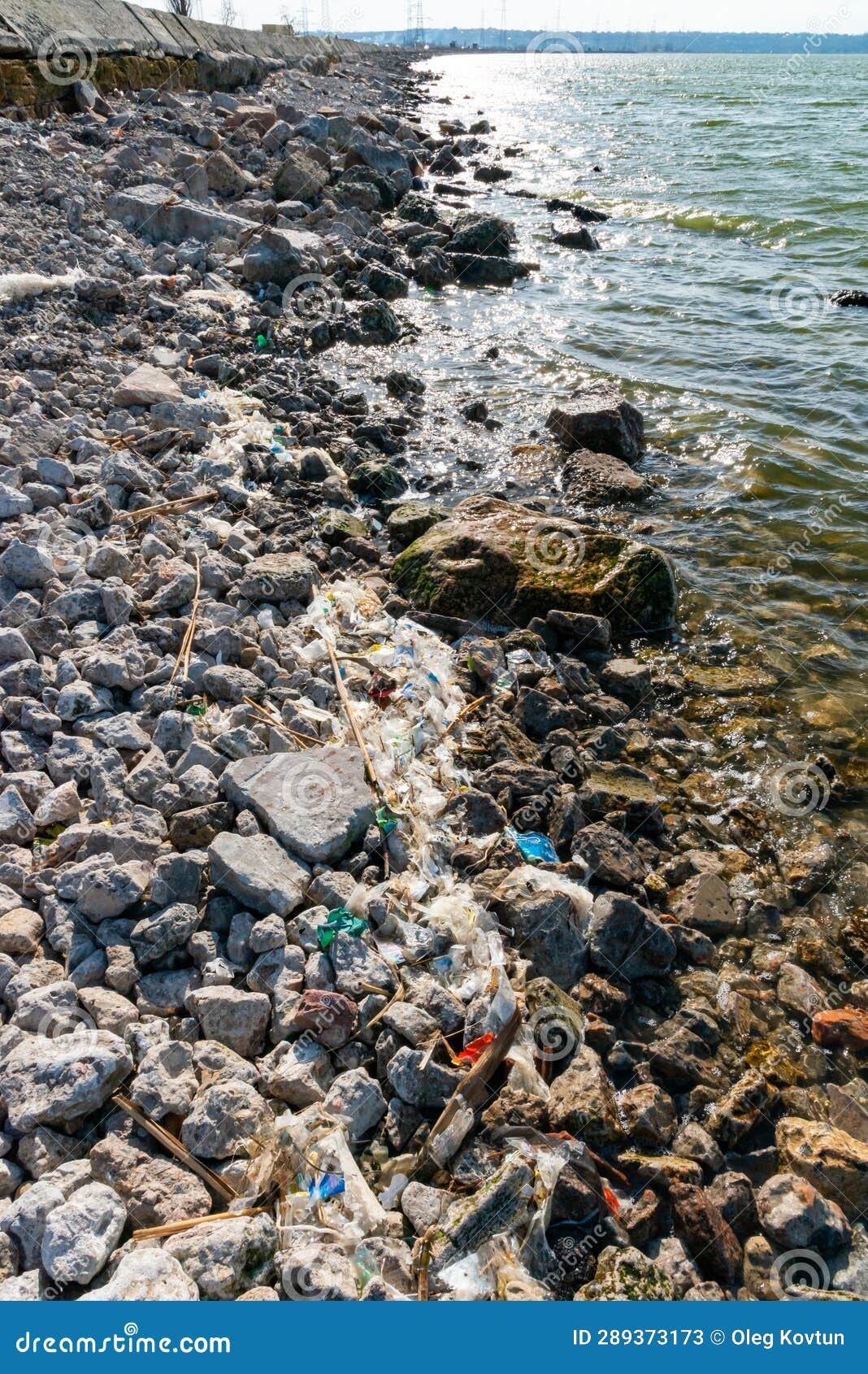 Plastic Garbage and Microplastics on the Shore of Khadzhibey Estuary ...