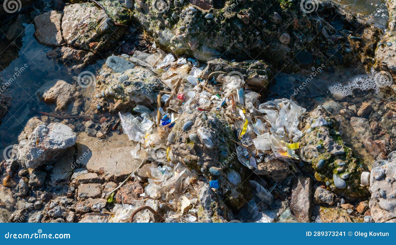 Plastic Garbage and Microplastics on the Shore of Khadzhibey Estuary ...