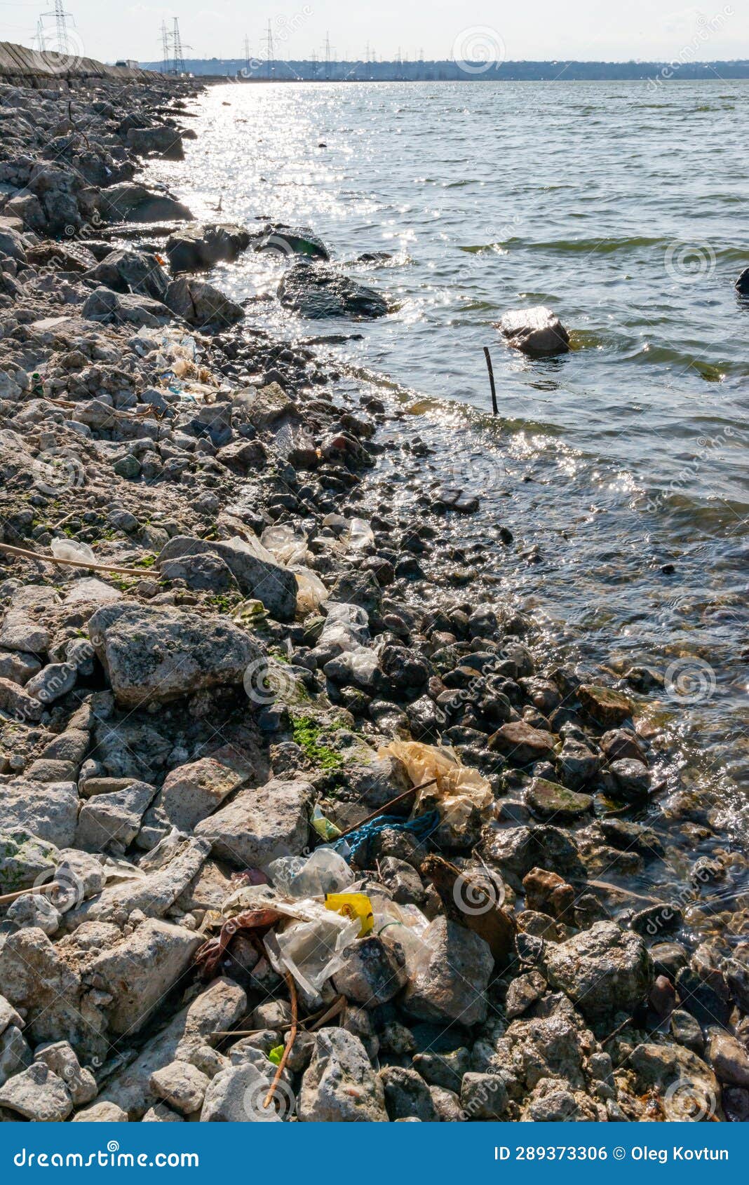 Plastic Garbage and Microplastics on the Shore of Khadzhibey Estuary ...