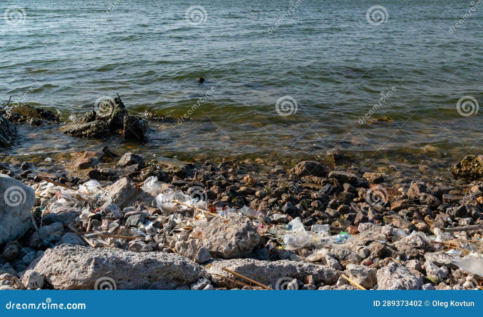 Plastic Garbage and Microplastics on the Shore of Khadzhibey Estuary ...