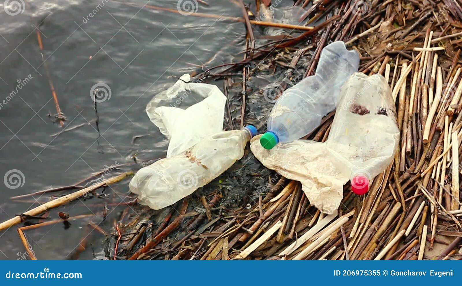Plastic Garbage and Plastic Bags on the River Bank Float on the Water ...