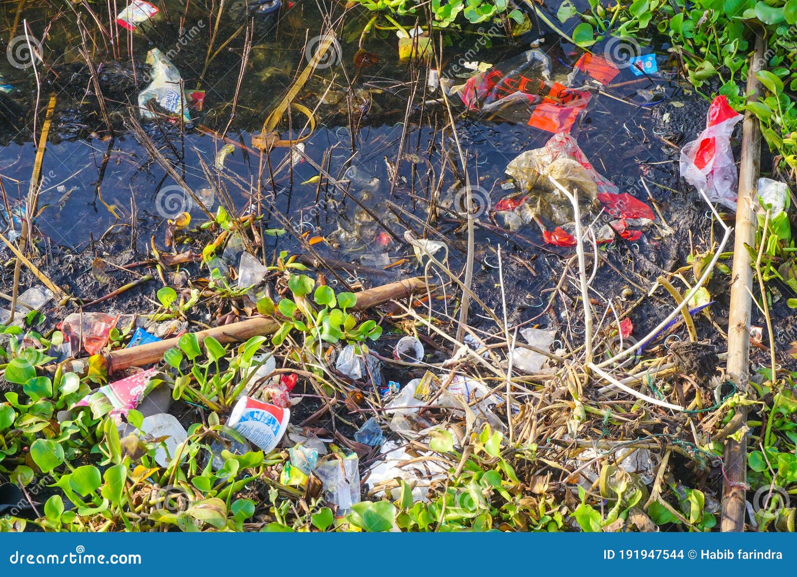 Plastic Garbage on the River. Environmental Pollution Problem Editorial ...