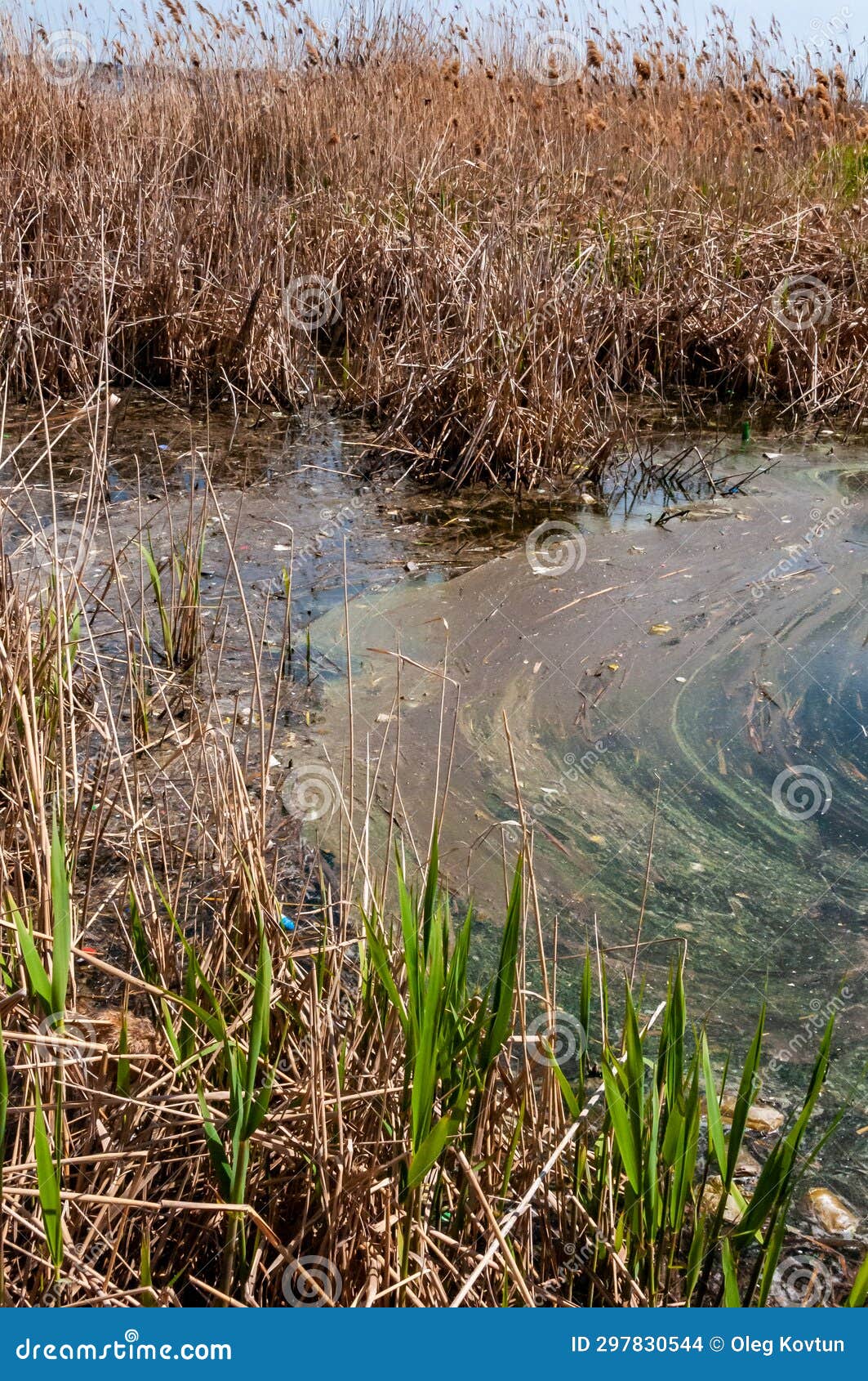 Plastic Garbage on the Shore in Hadzhibeysky Estuary. Eutrophication of ...