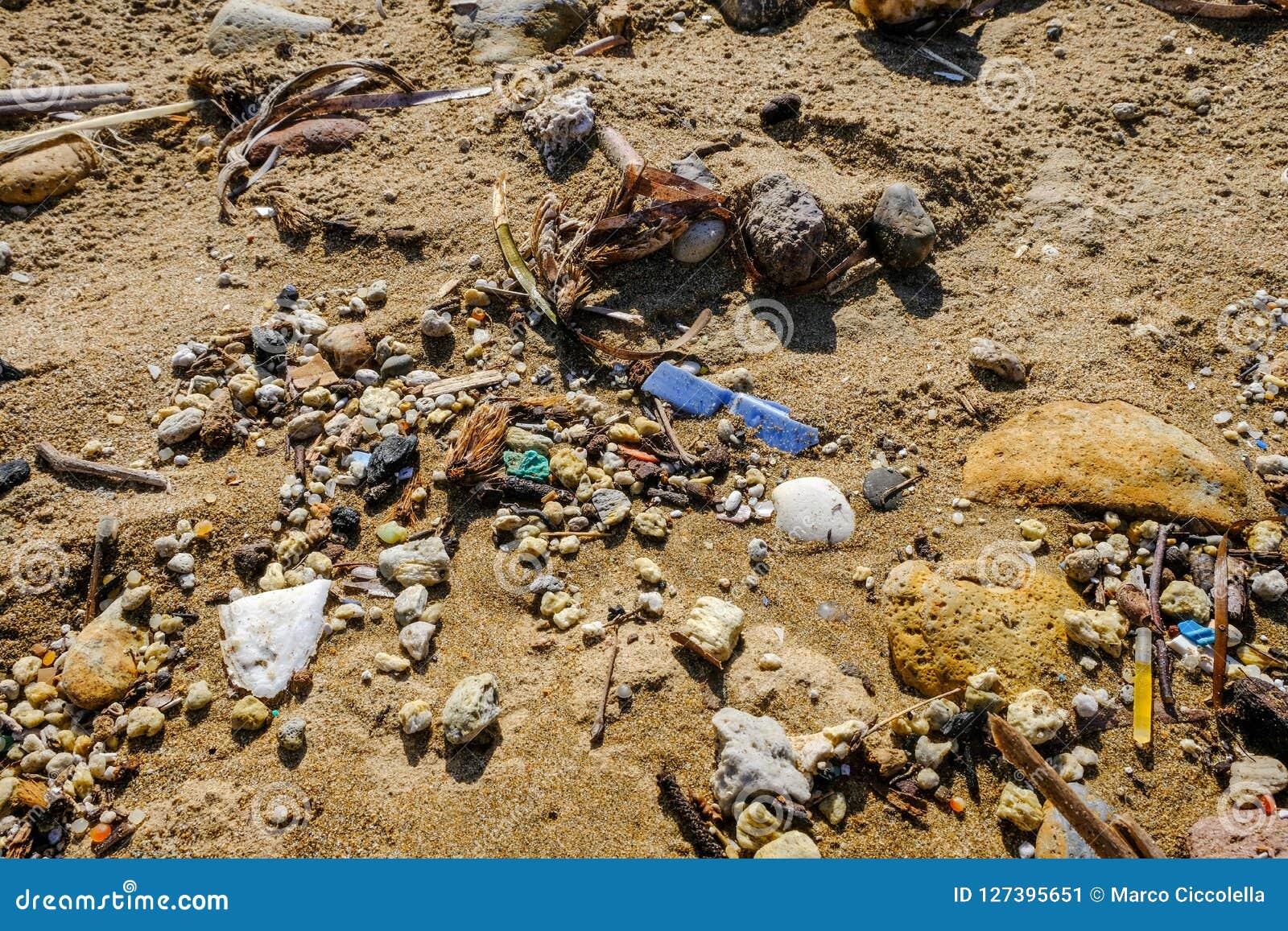 Plastic and General Garbage on the Beach. Stock Image - Image of ...