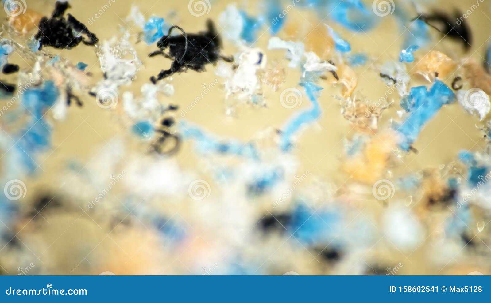 Plastic Gets into the Pond and Gradually Destroyed Stock Image - Image ...