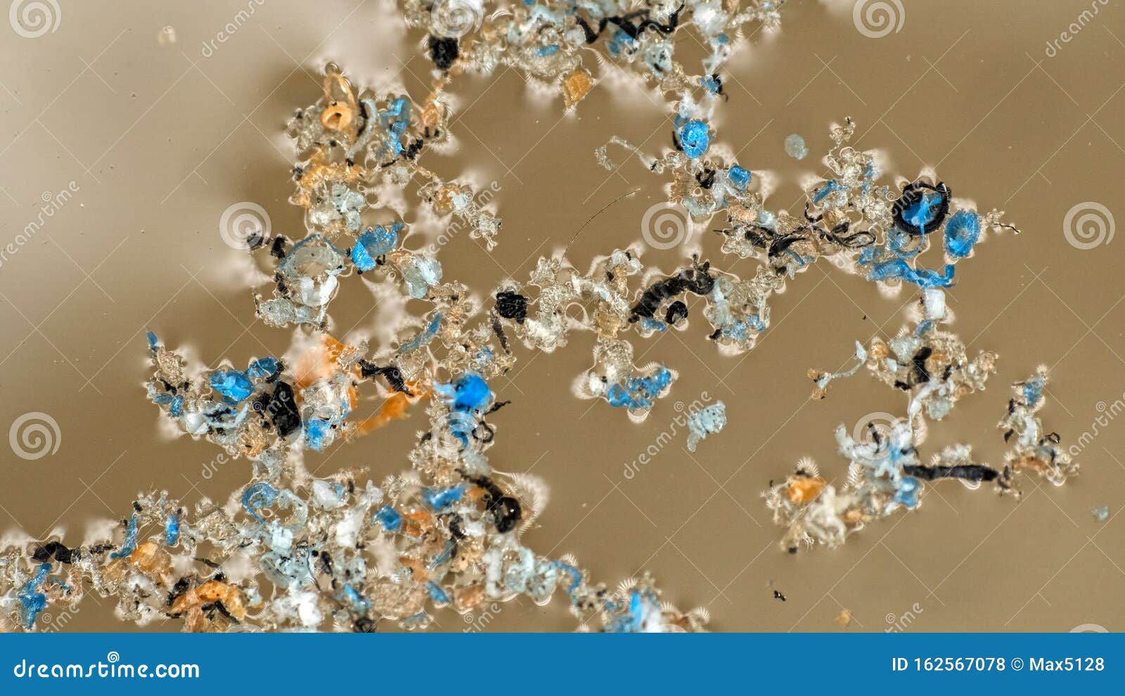 Plastic Gets into the Pond and Gradually Destroyed Stock Photo - Image ...