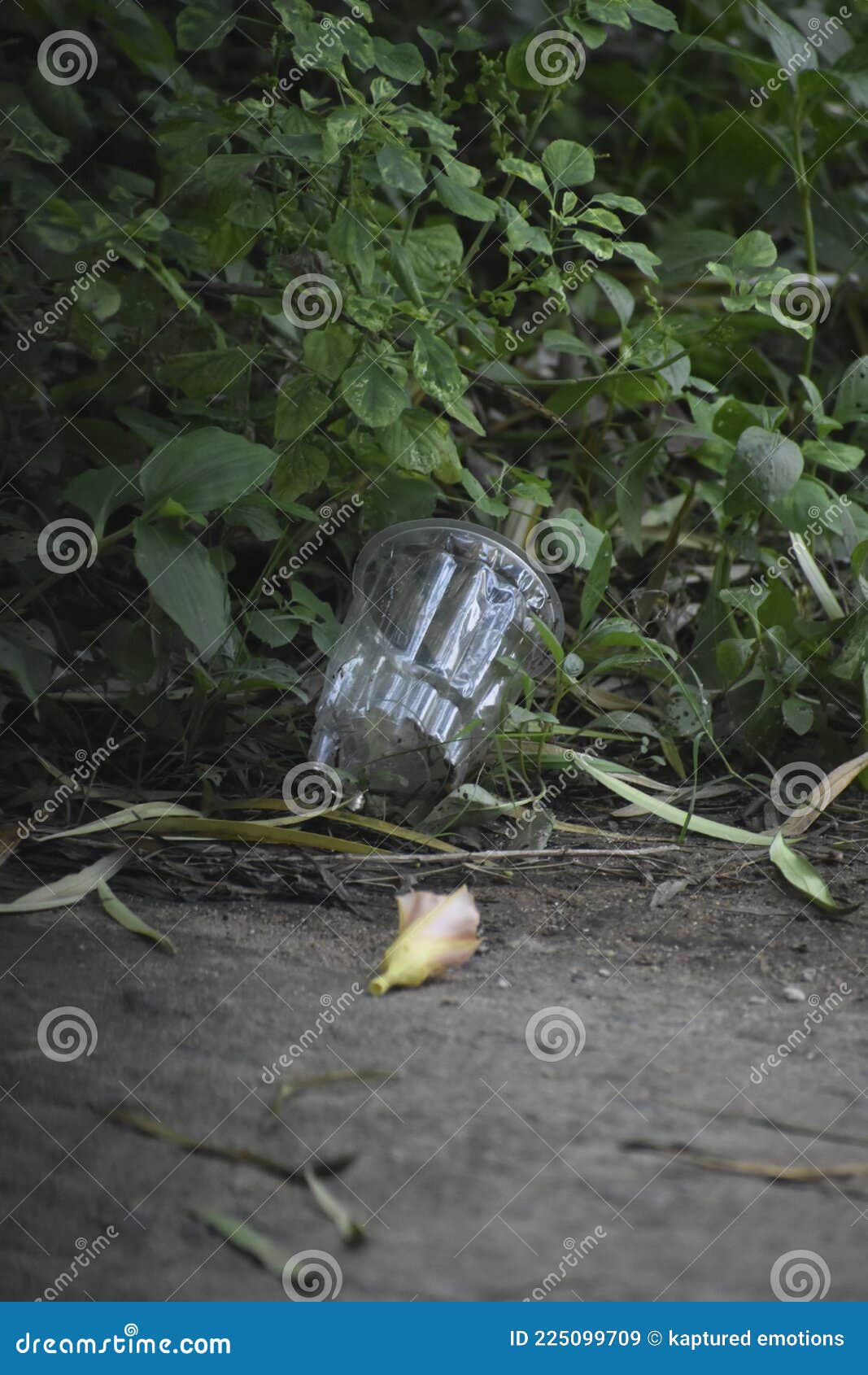 Plastic Glass Falling on Ground Stock Image - Image of grass, wildlife ...