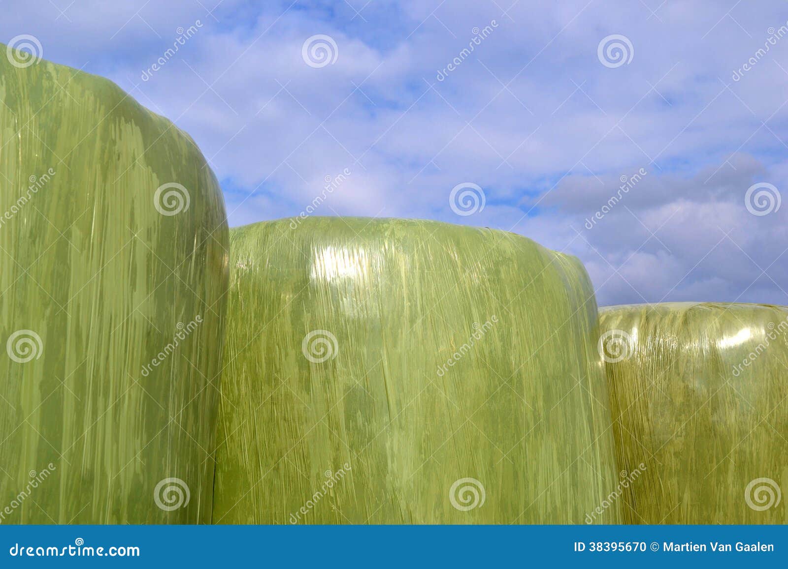 Plastic hay bales. stock photo. Image of machine, bales - 38395670