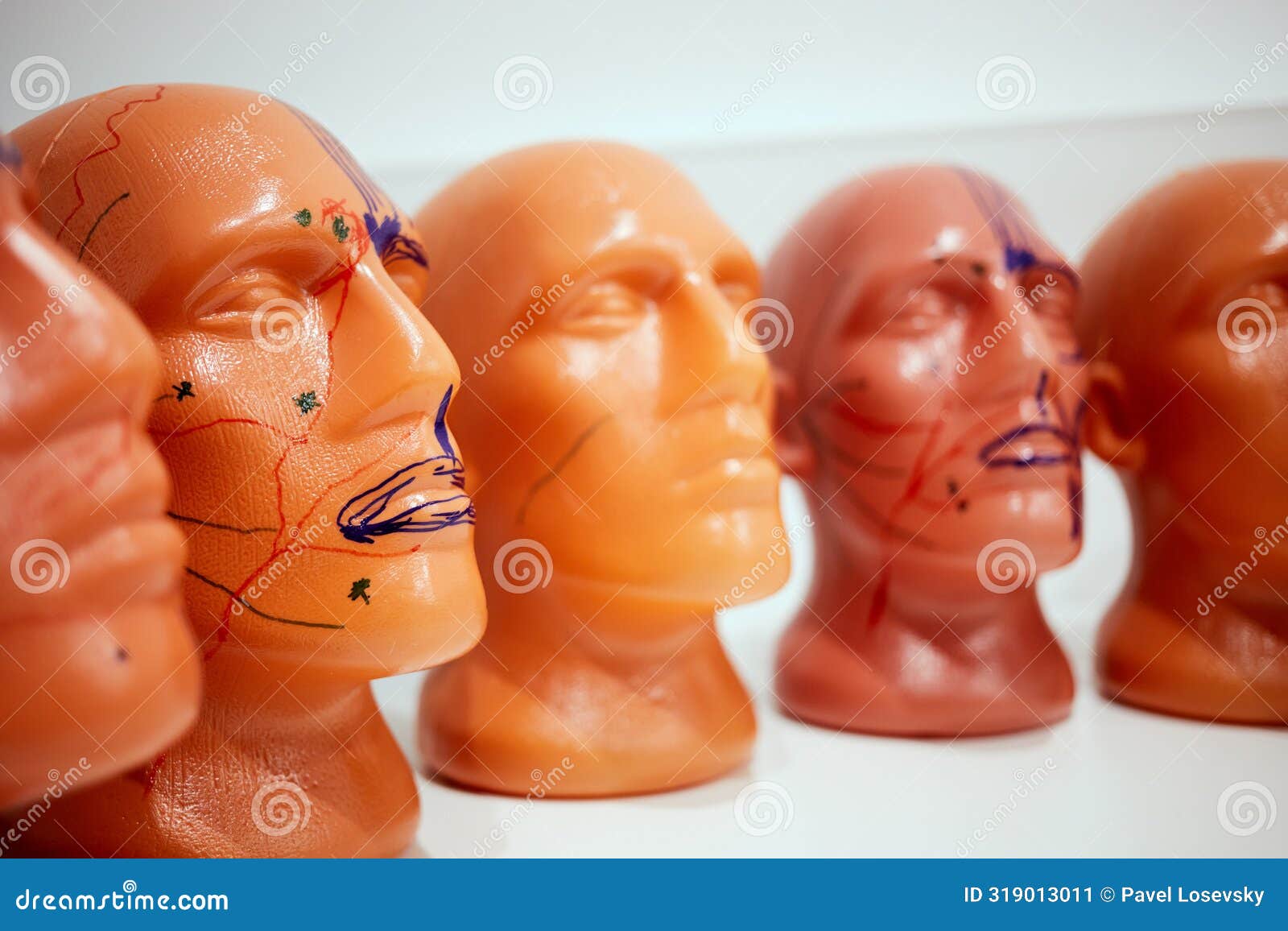 Plastic Human Body Model. Stock Photography | CartoonDealer.com #74866250