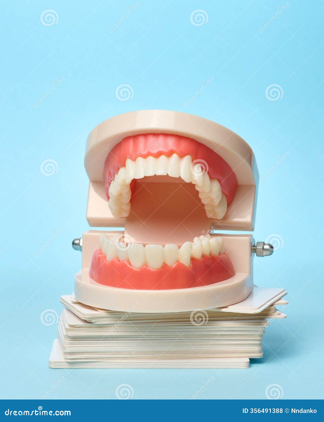 Plastic Human Jaw with White Teeth Stands on Stack of Paper Business ...
