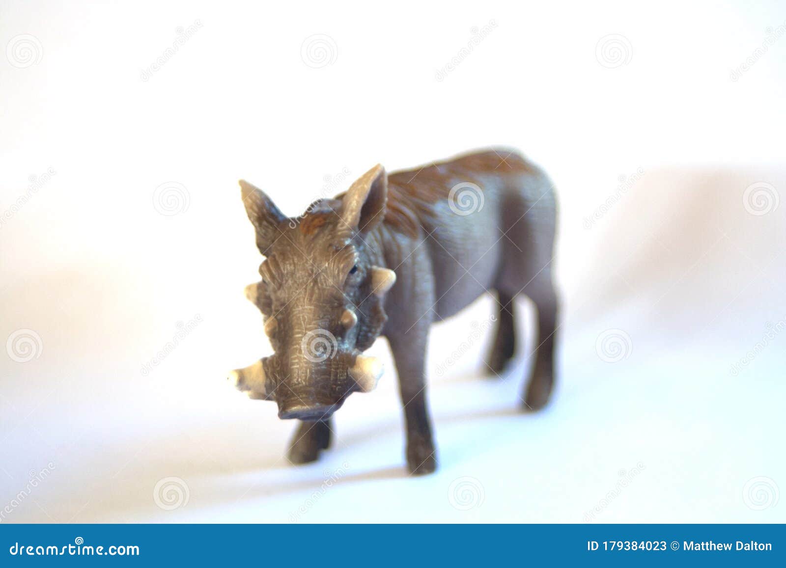 A Plastic Kids Toy Water Hog on a White Background. Stock Image - Image ...