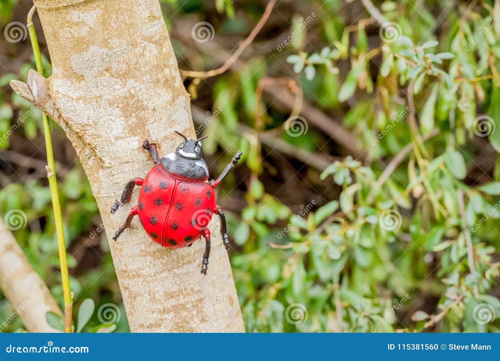Plastic ladybug on a tree stock photo. Image of beetles - 115381560