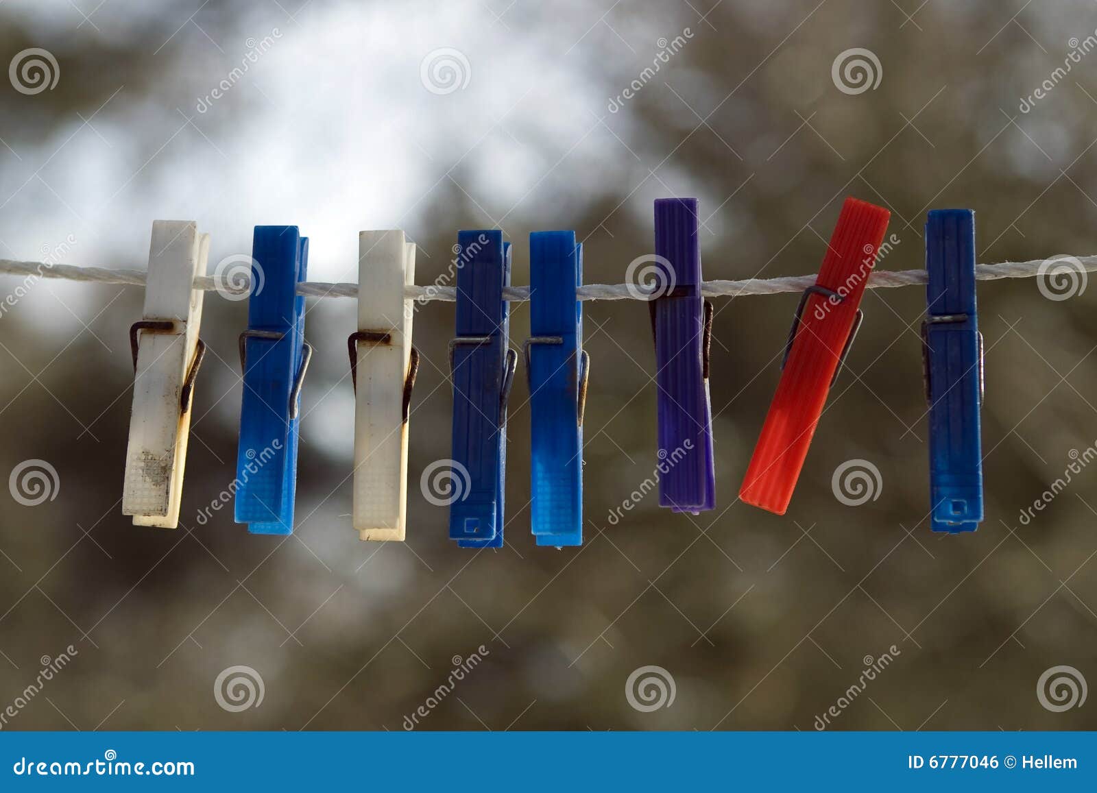 Plastic Laundry Pegs stock photo. Image of wash, plastic - 6777046