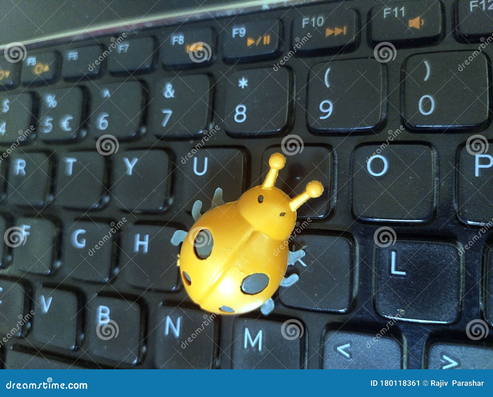 A Plastic Leady Bug on Black Laptop Keyboard Stock Image - Image of ...