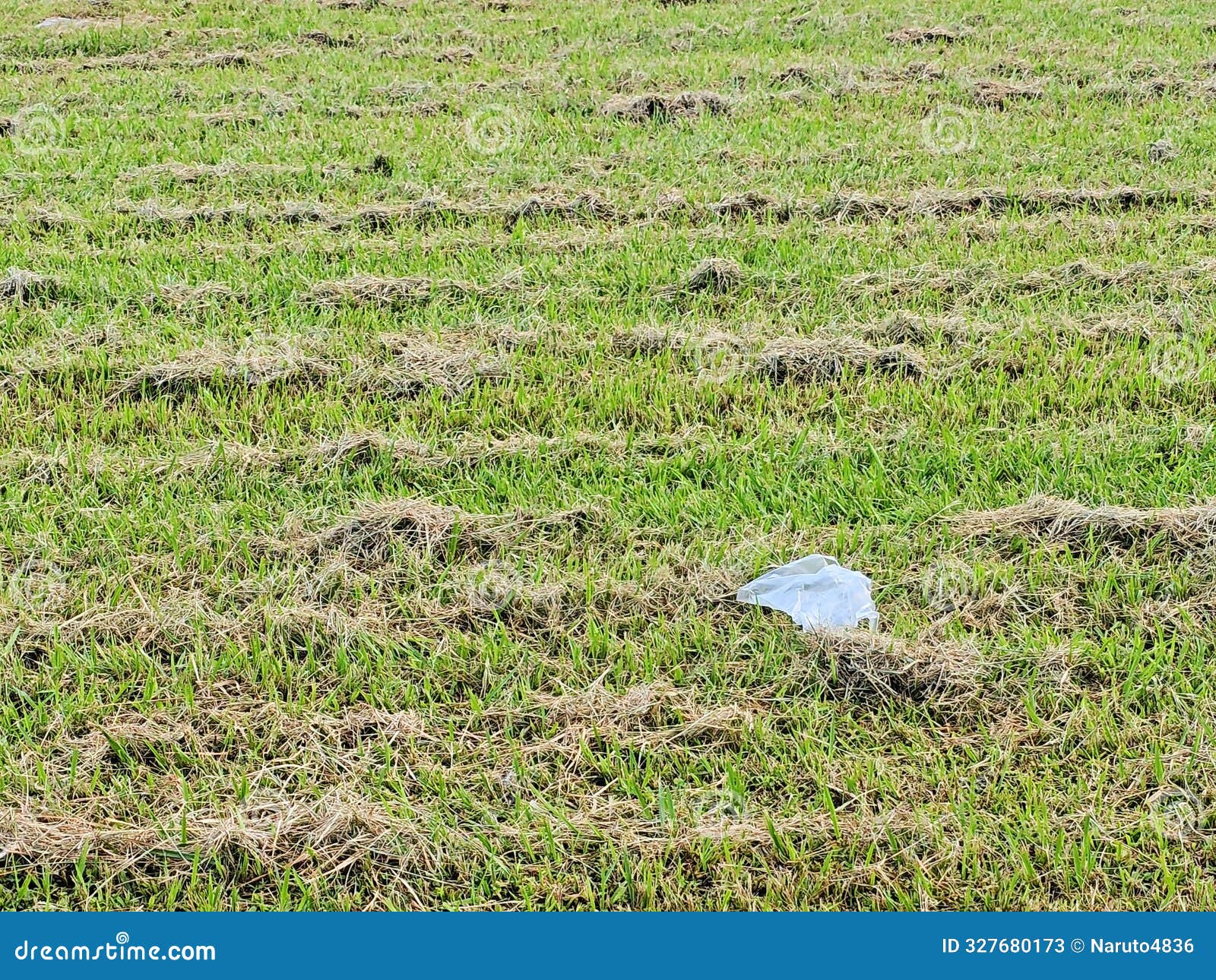Plastic Litter in the Field Stock Image - Image of grassland, wildlife ...