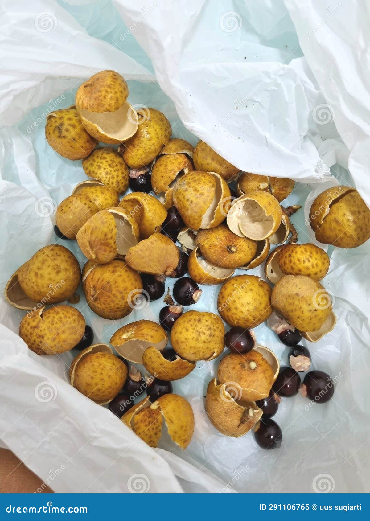 1 Plastic Longan Fruit Skin Stock Image - Image of fruit, lychee: 291106765
