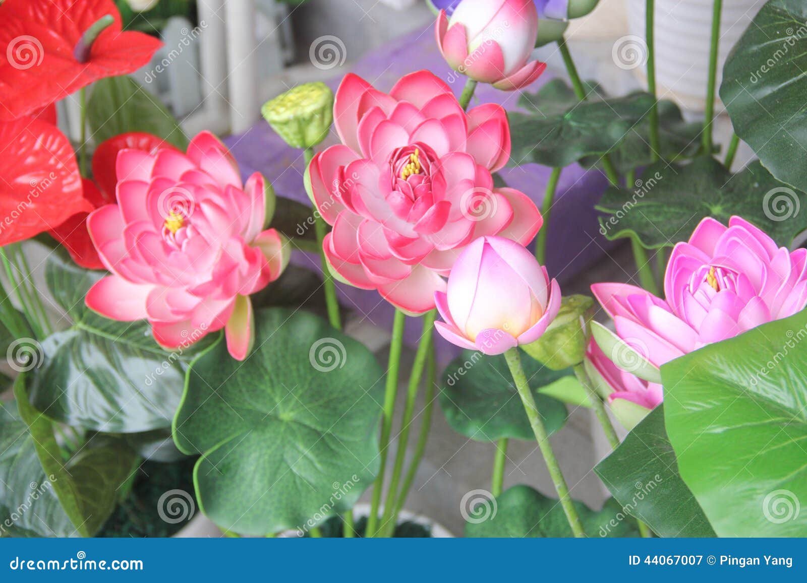 Plastic lotus stock image. Image of improvement, plastic - 44067007