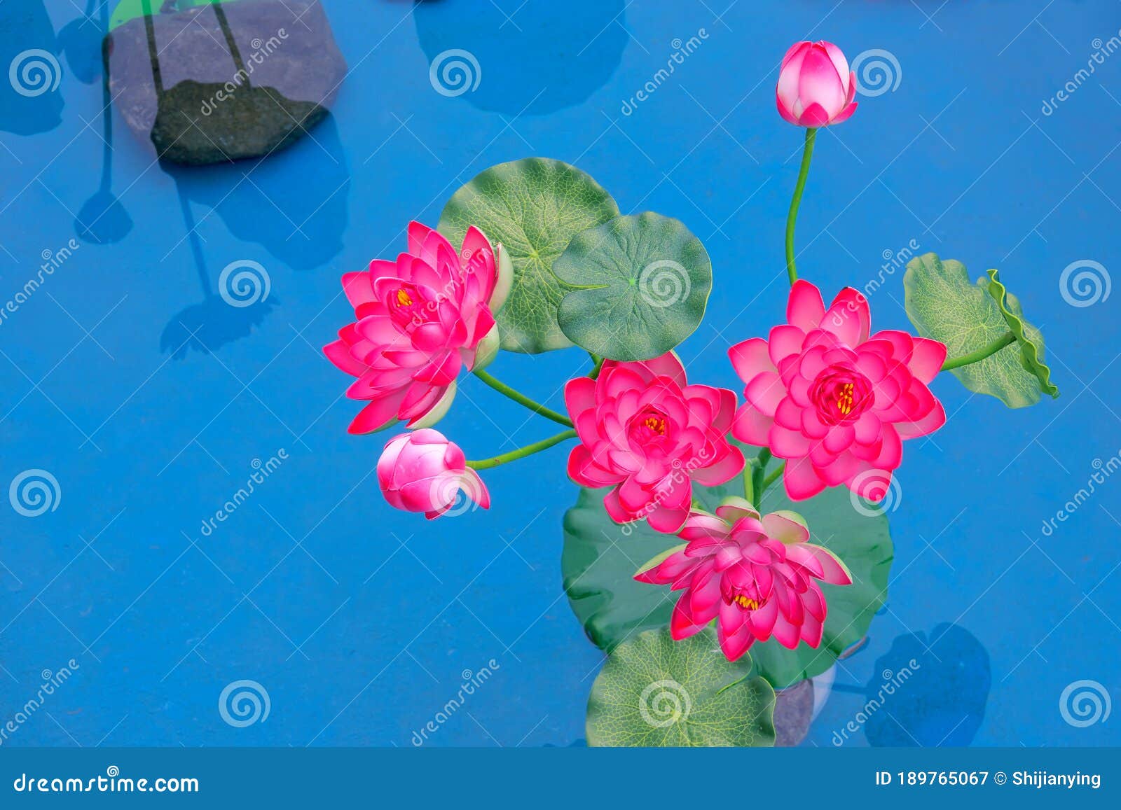Plastic lotus stock image. Image of plastic, buds, flower - 189765067