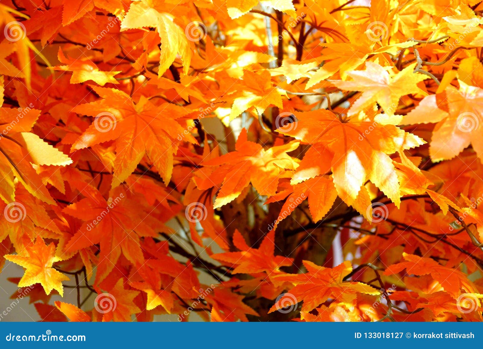 Plastic Maple leaf stock image. Image of decorative - 133018127