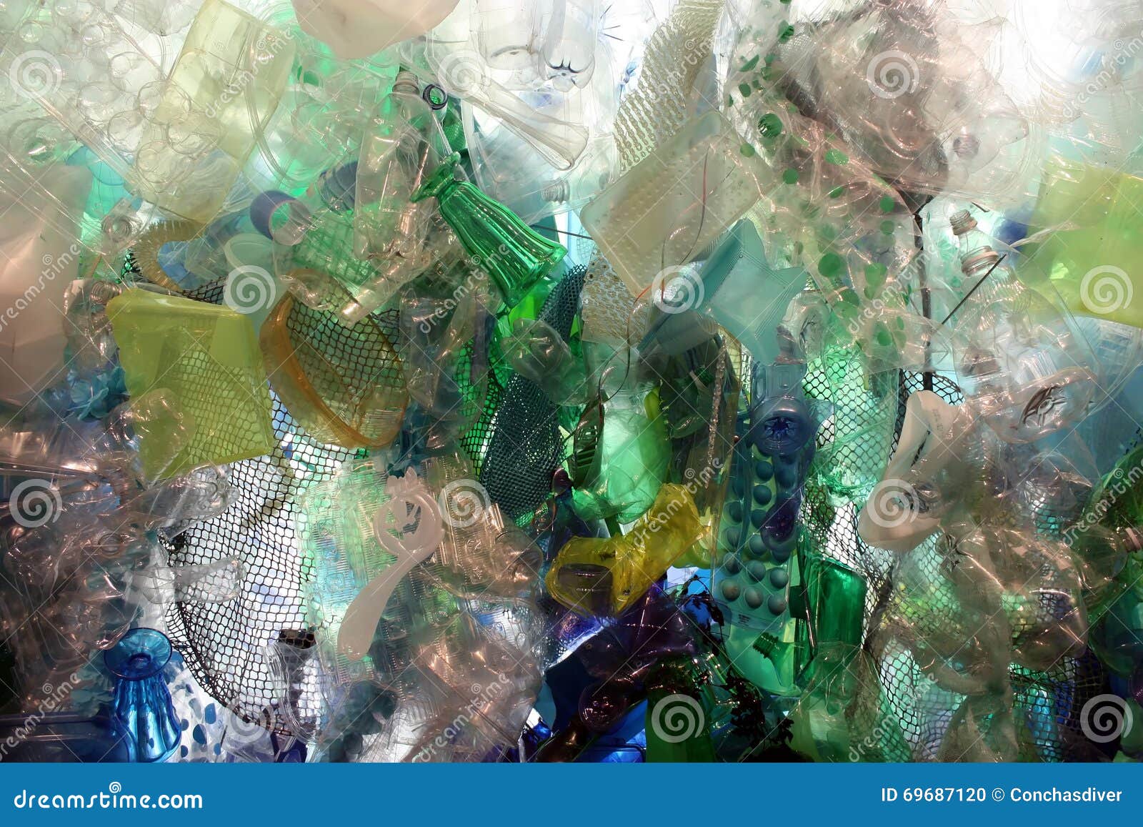 Plastic Marine Pollution. Seal Caught In Tangled Nylon Fishing N ...