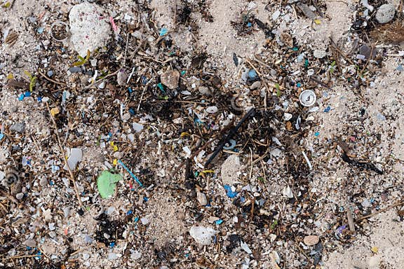 Plastic and Microplastics on a Caribbean Beach Transported by the Current and the Sargasso Algae ...