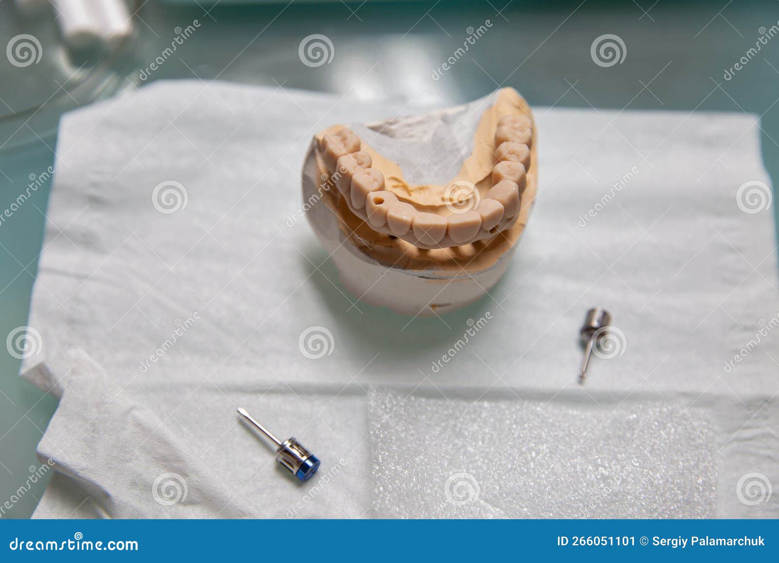 Plastic Model of a Permanent Ceramic-metal Dental Prosthesis on ...