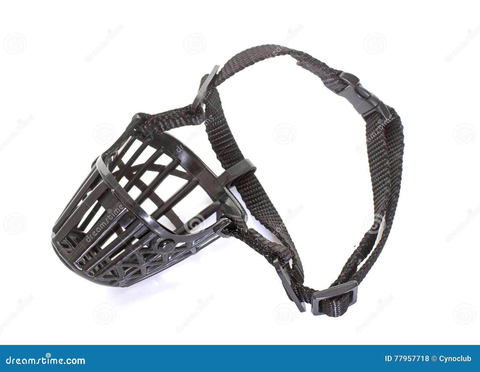 Plastic muzzle in studio stock photo. Image of dressage - 77957718