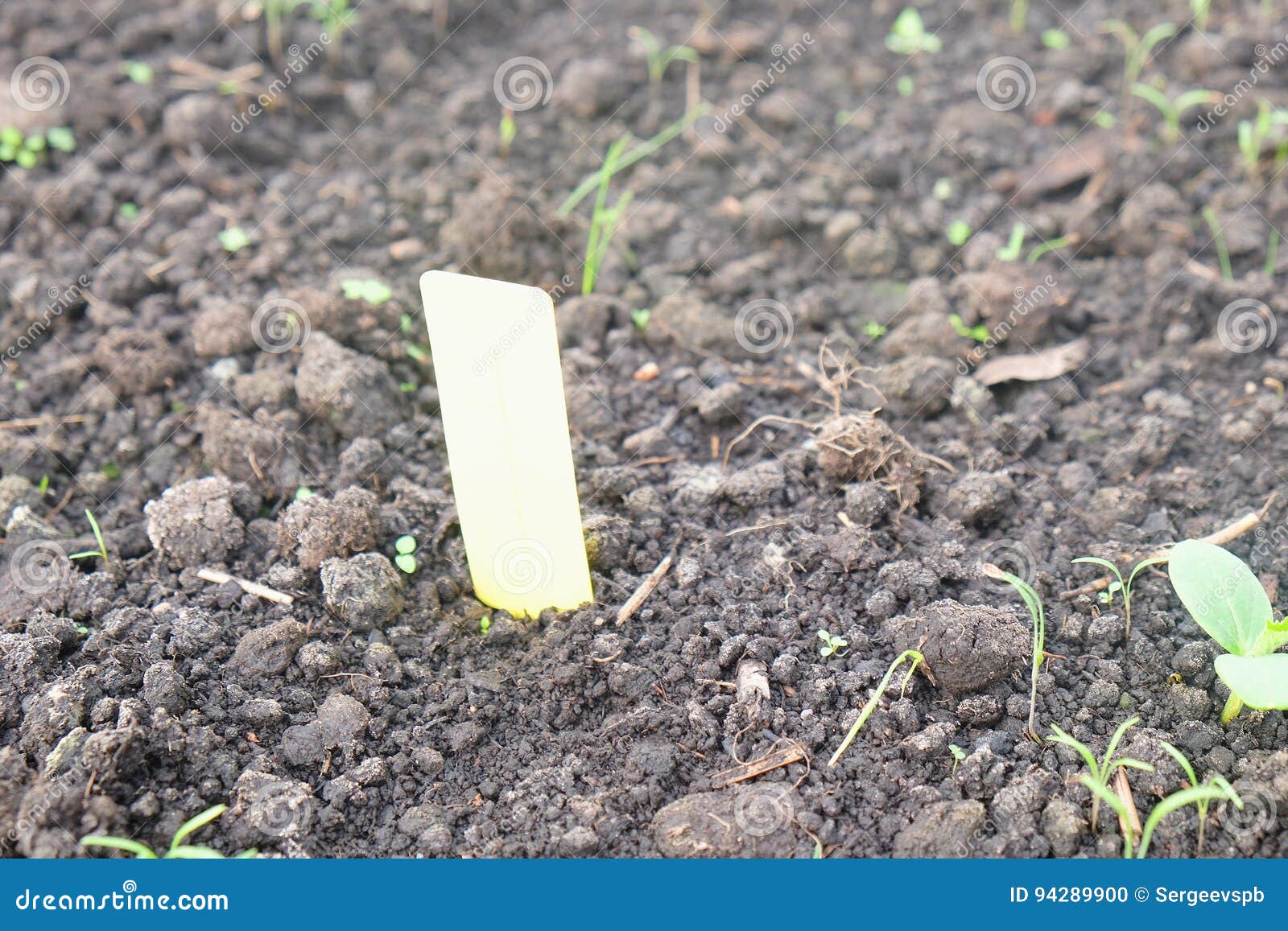Plastic Nameplate for Plants Stock Photo - Image of ground, green: 94289900