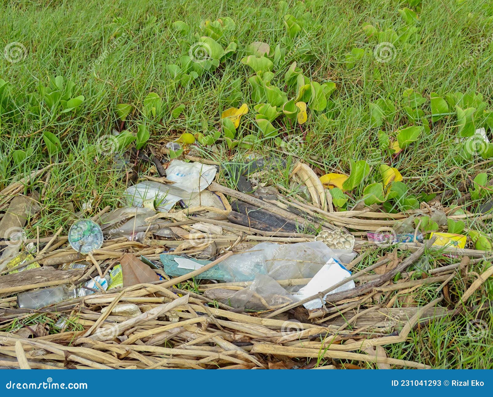 Plastic and Organic Waste on the Beach Sand Stock Image - Image of ...