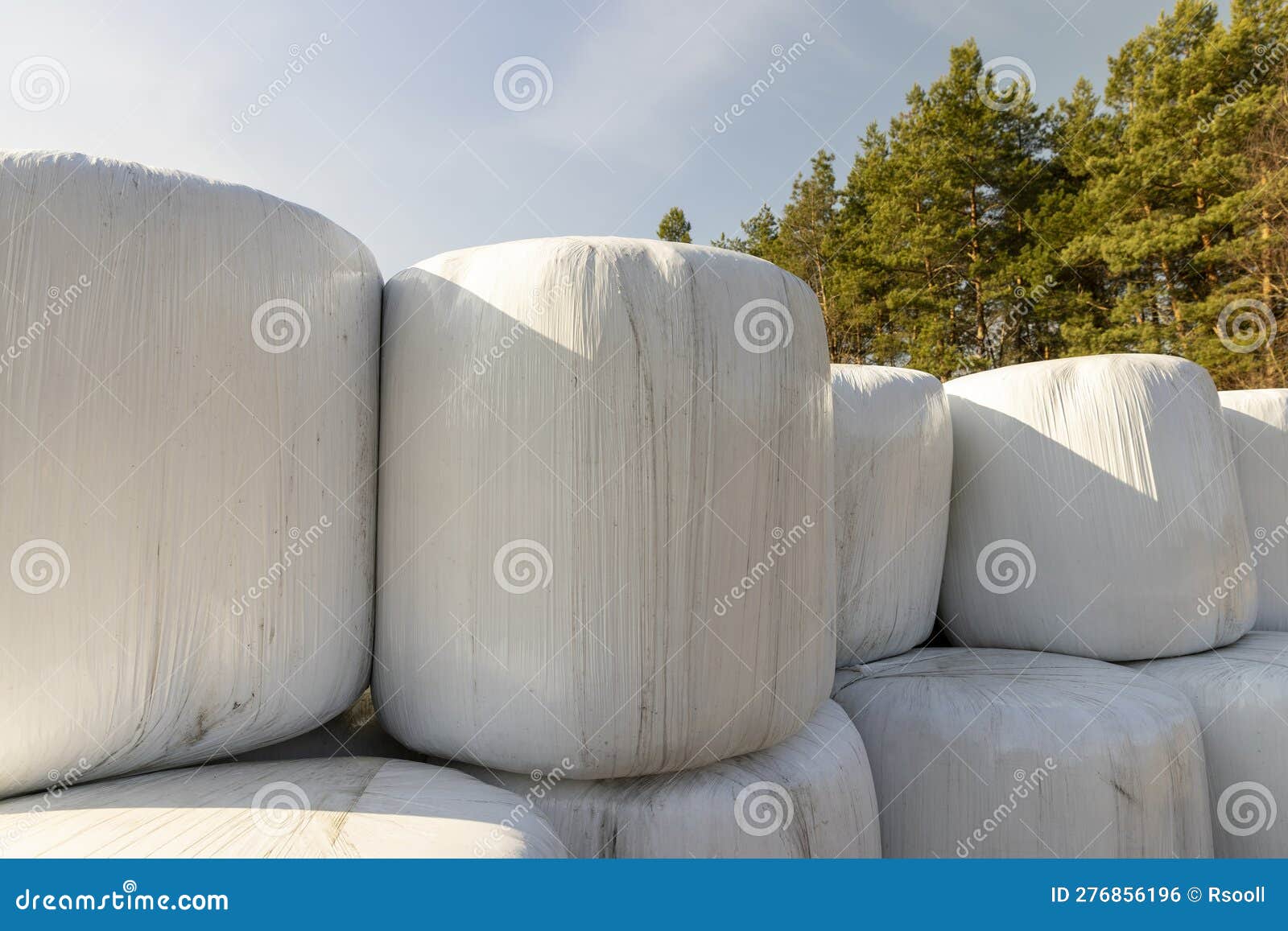 Plastic Packaging on Mown Hay for Long-term Storage Stock Photo - Image ...