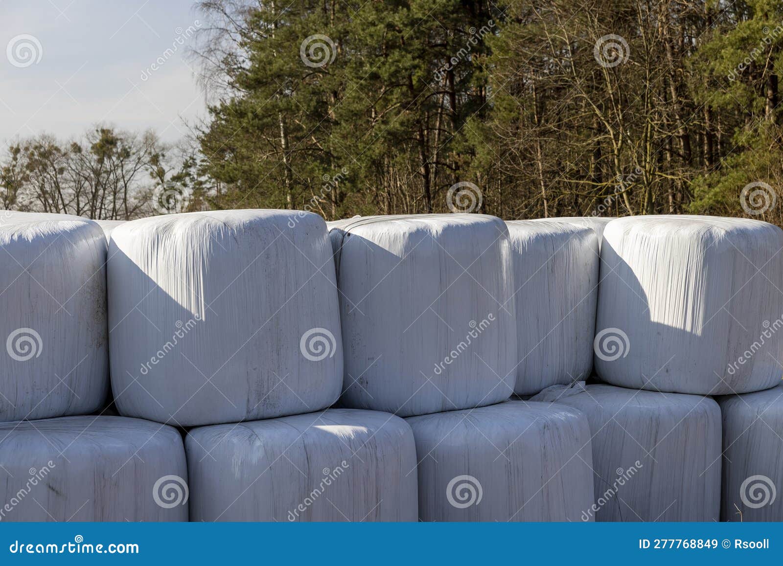Plastic Packaging on Mown Hay for Long-term Storage Stock Image - Image ...