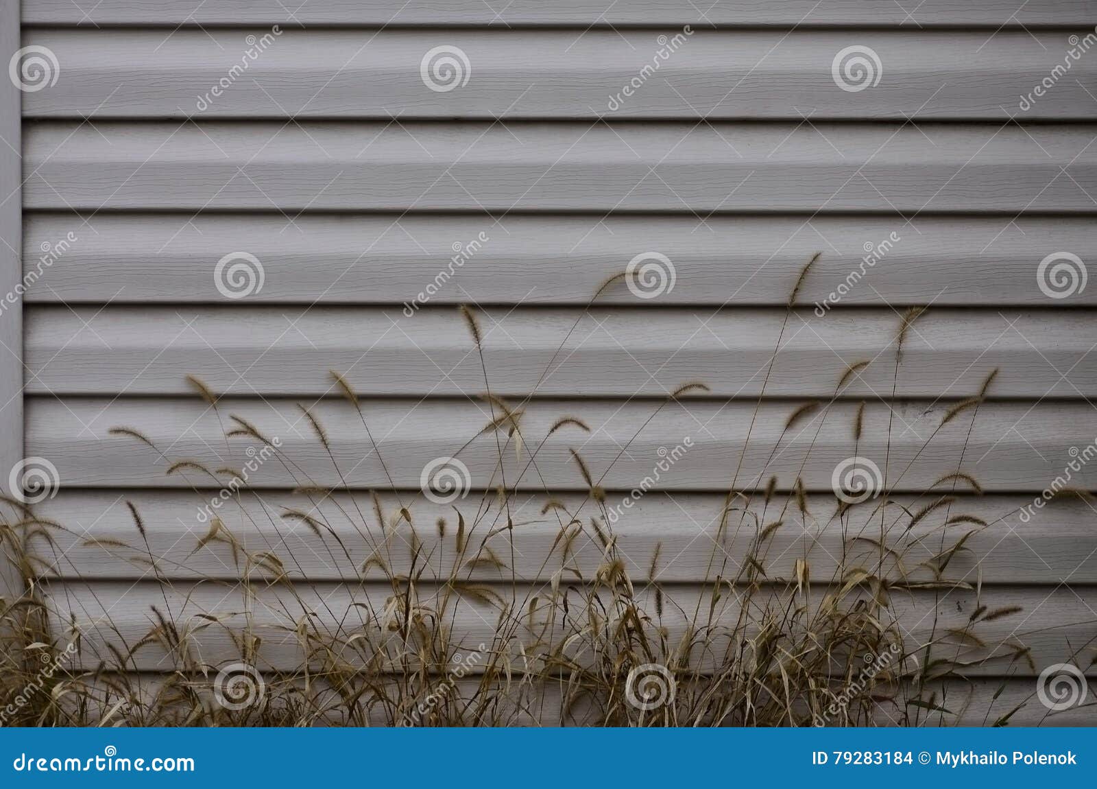 Plastic panels texture stock photo. Image of material - 79283184