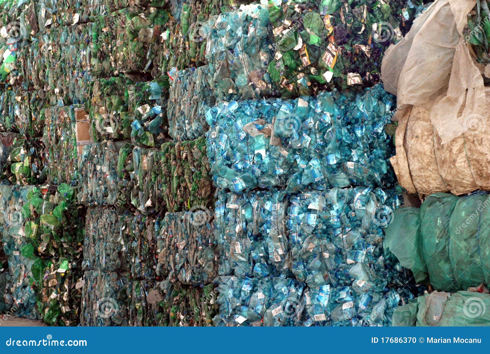 Plastic Pet Collecting Center Stock Photo - Image of industry, garbage ...