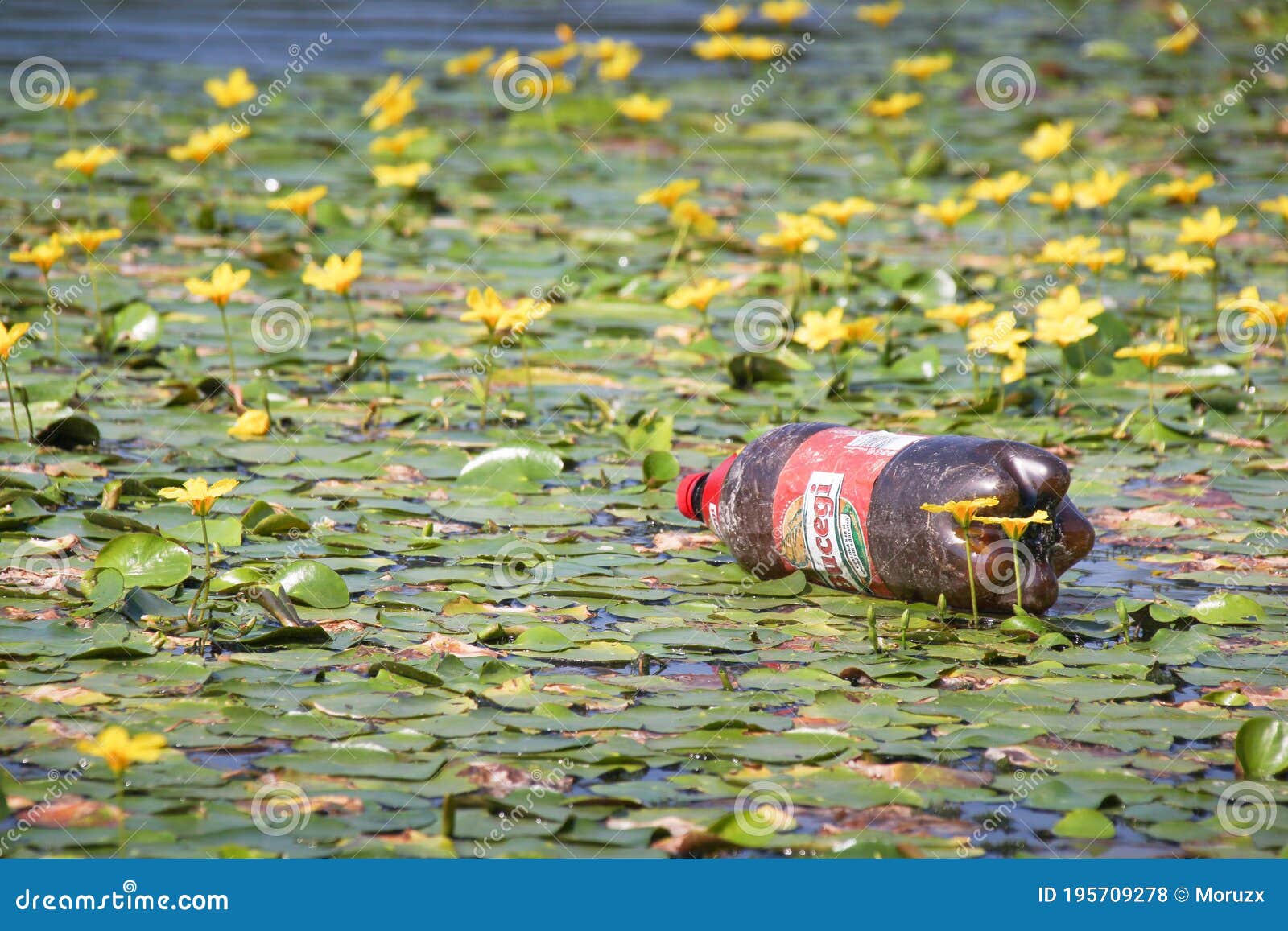 Plastic Pet Pollution. Pet Thrown on Water Lilies. Editorial Stock ...