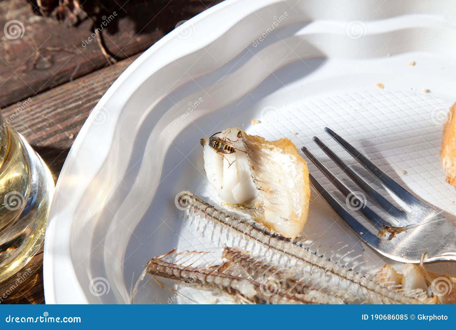 Plastic Plate with Scraps of Food Stock Image - Image of meeting ...