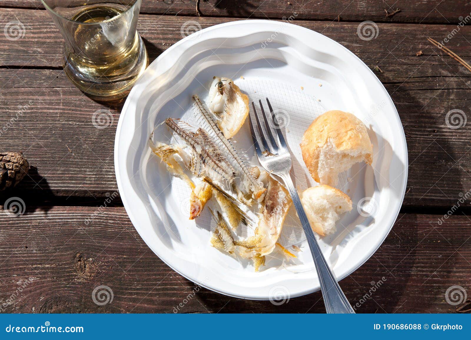 Plastic Plate with Scraps of Food Stock Photo - Image of fishing ...