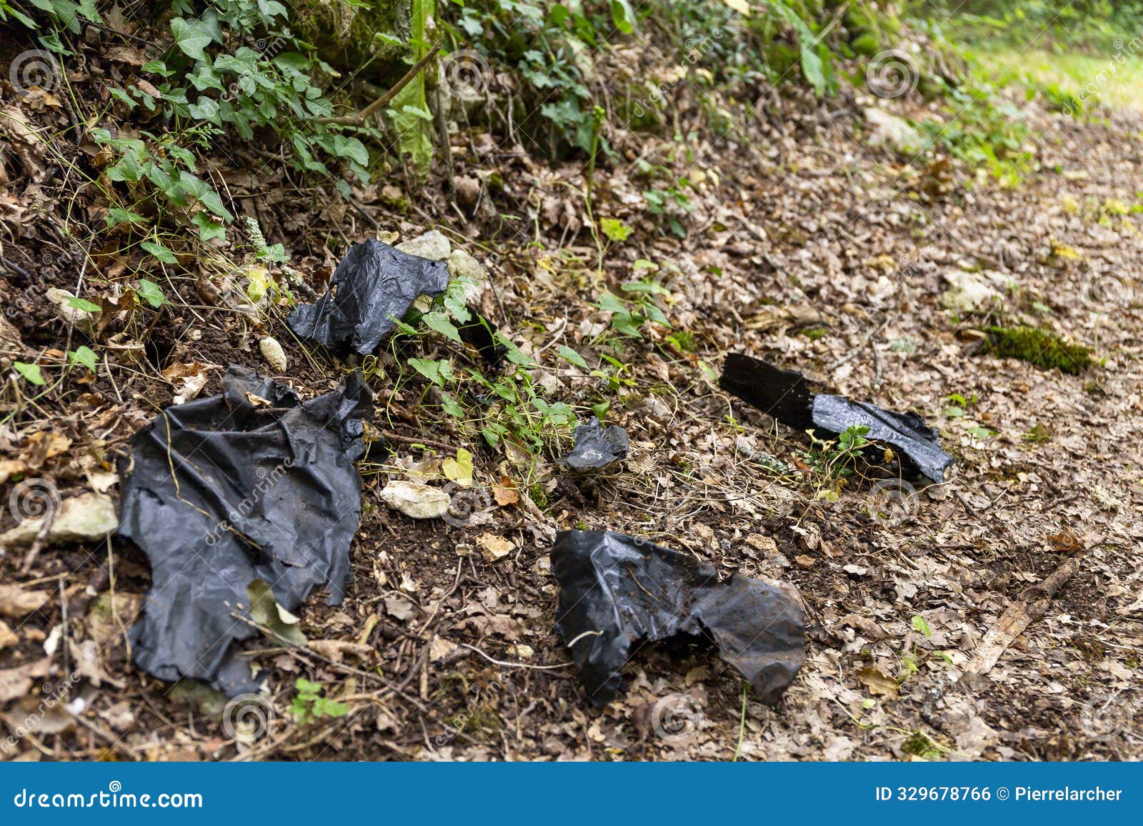 Plastic Pollution in a Forest, Along a Path in the Countryside Stock ...