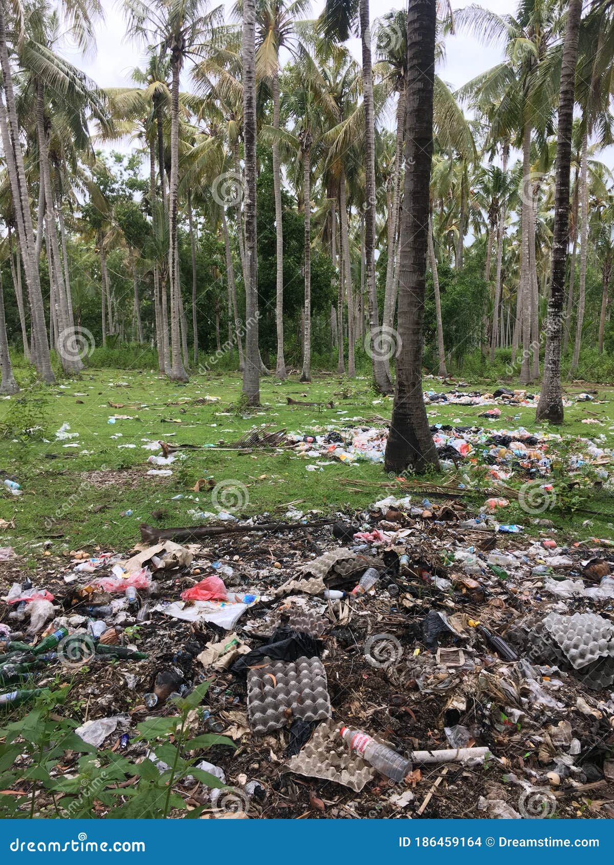 A Plastic Pollution in Asia Editorial Stock Image - Image of ...
