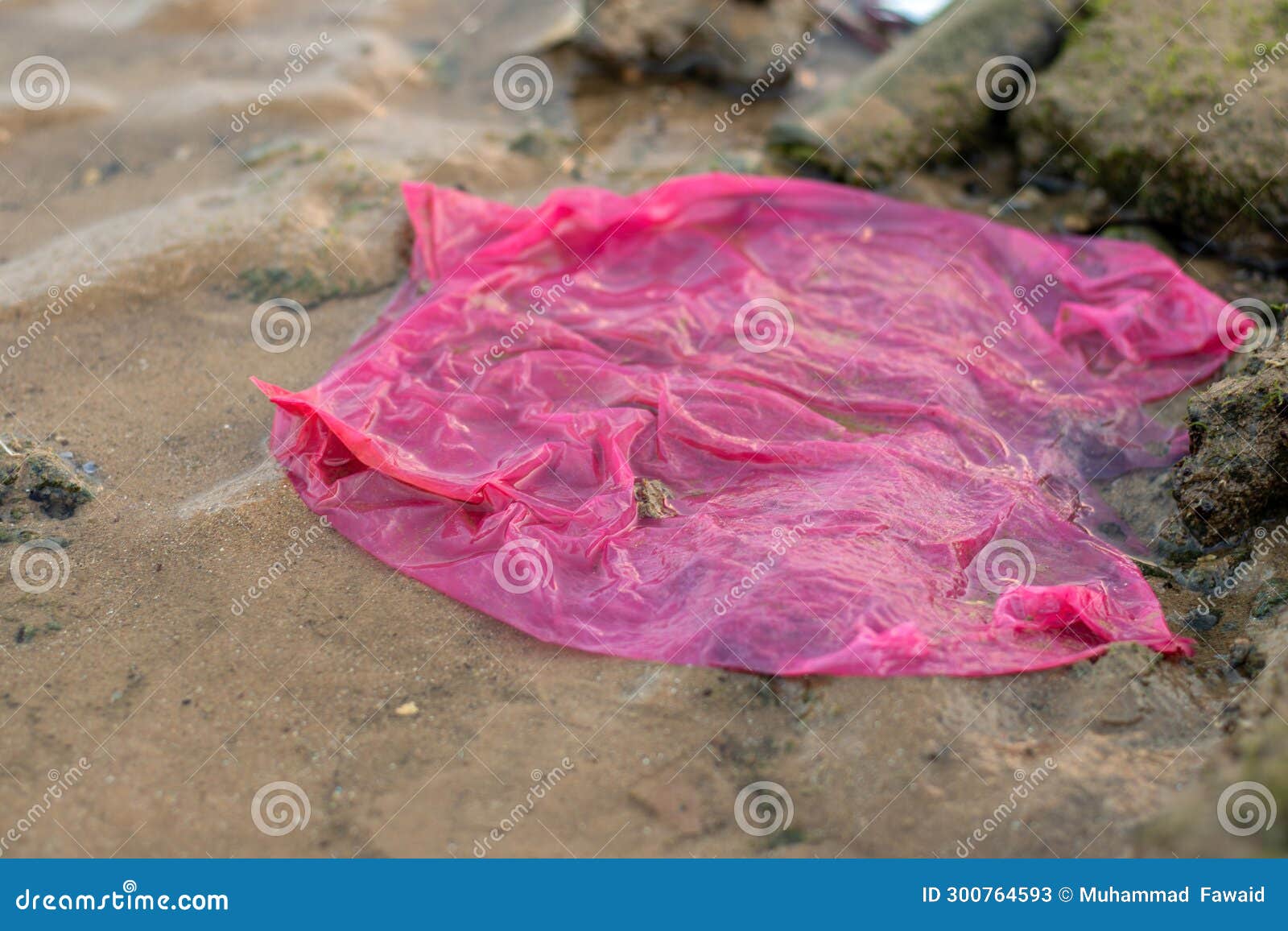 Plastic Pollution on Beach - Environmental Problem Stock Image - Image ...