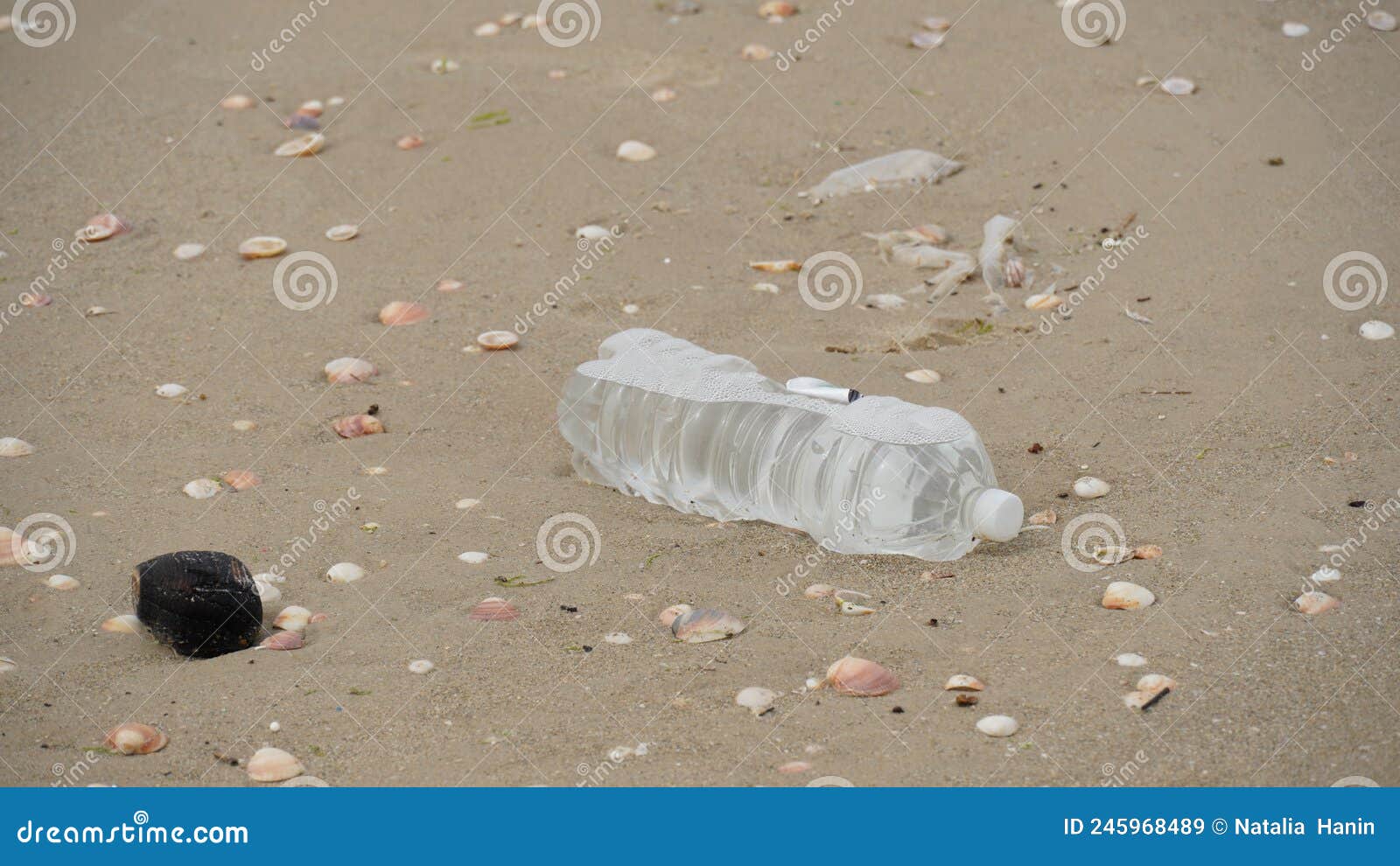 Plastic Pollution. Empty Plastic Bottle on the Beach. Pollution Concept ... Plastic Pollution. Empty Plastic Bottle on the Beach. Pollution Concept ...