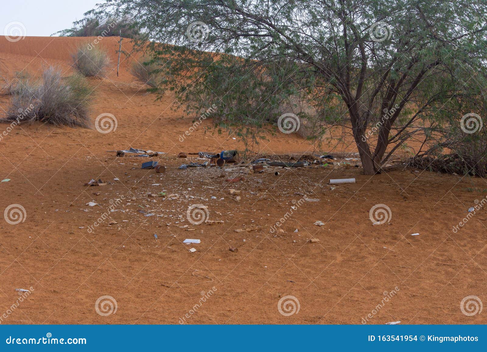 Plastic Pollution and Garbage Dumping in the Desert Sand Under a Tree ...
