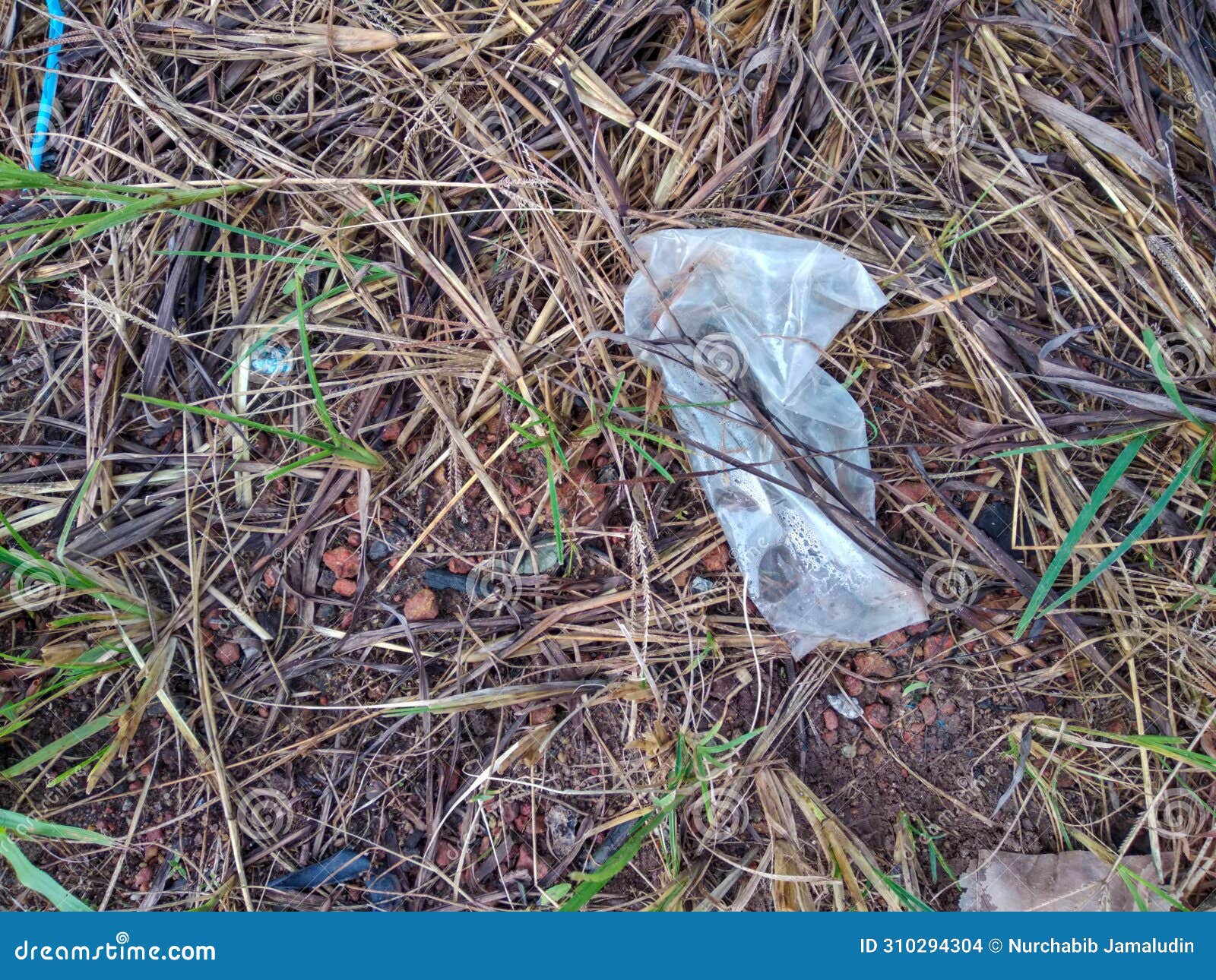 Plastic Pollution on the Ground in Forest Stock Photo - Image of danger ...