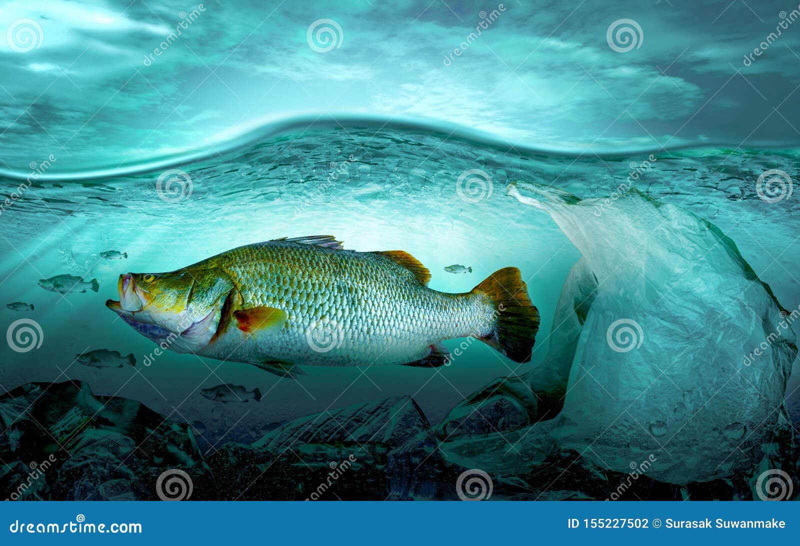 Plastic Pollution in Marine Environmental Problems Animals in the Sea ...