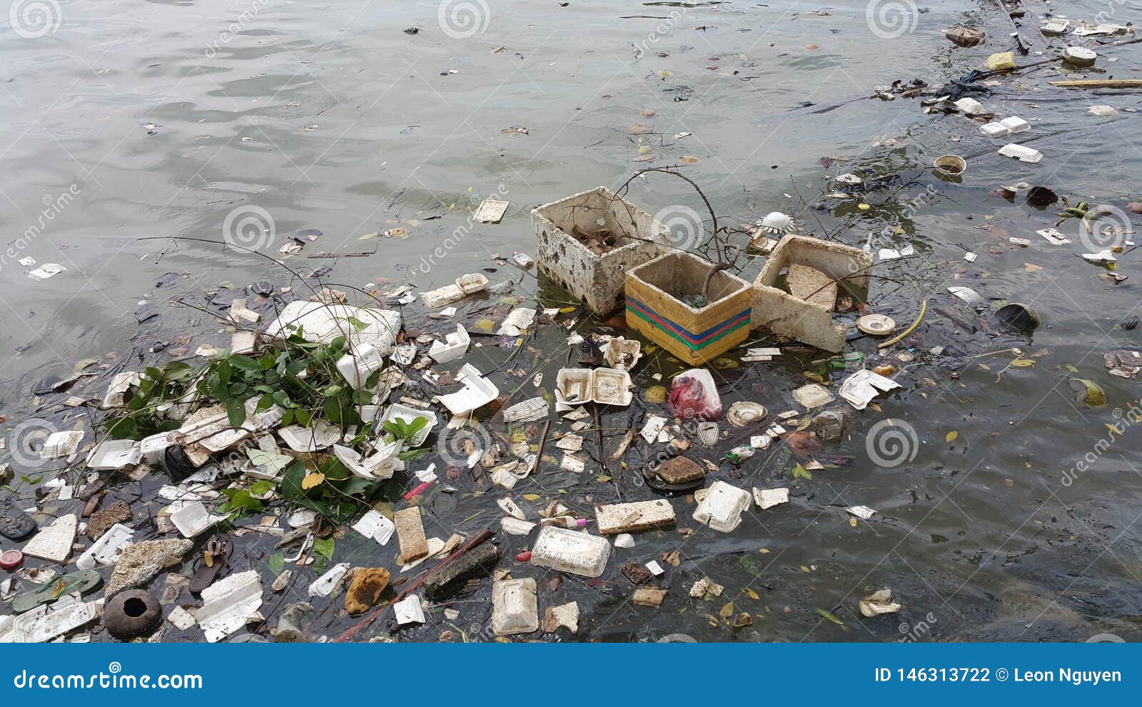 Plastic Pollution in Water. Stock Photo - Image of dropped, forest ...