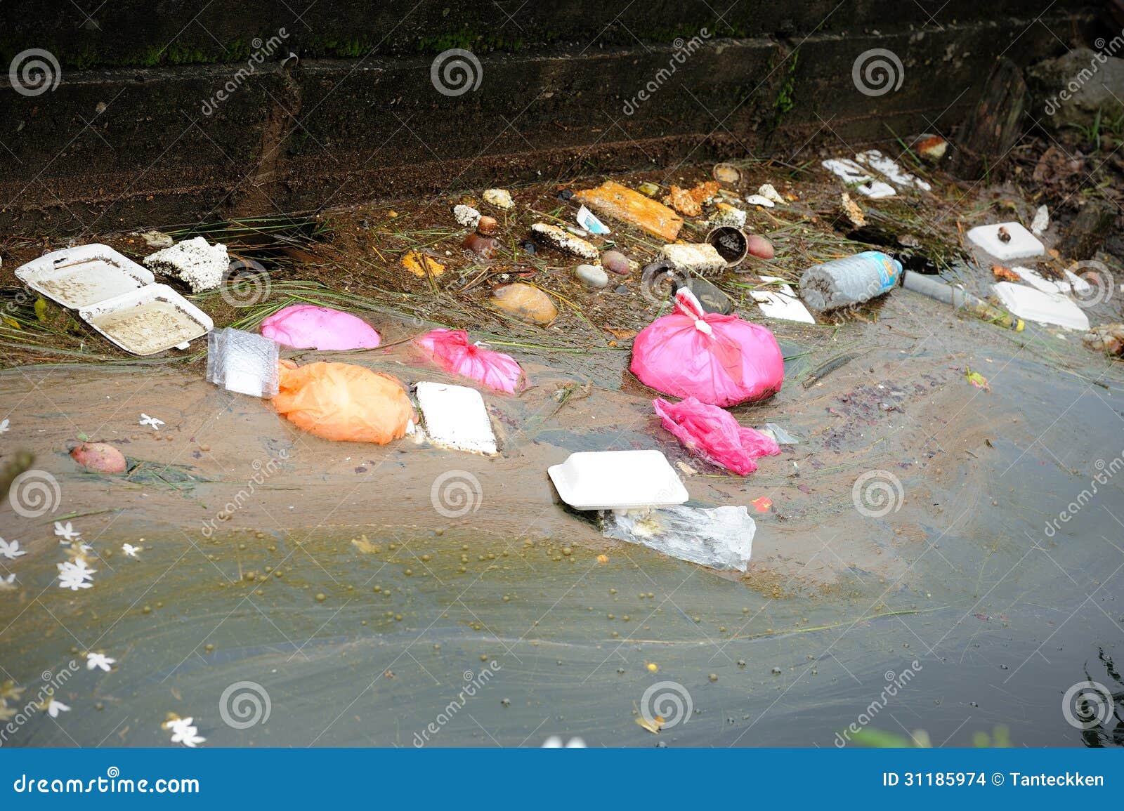 Plastic and Polystyrene Fast Food Packaging in a River Stock Photo ...