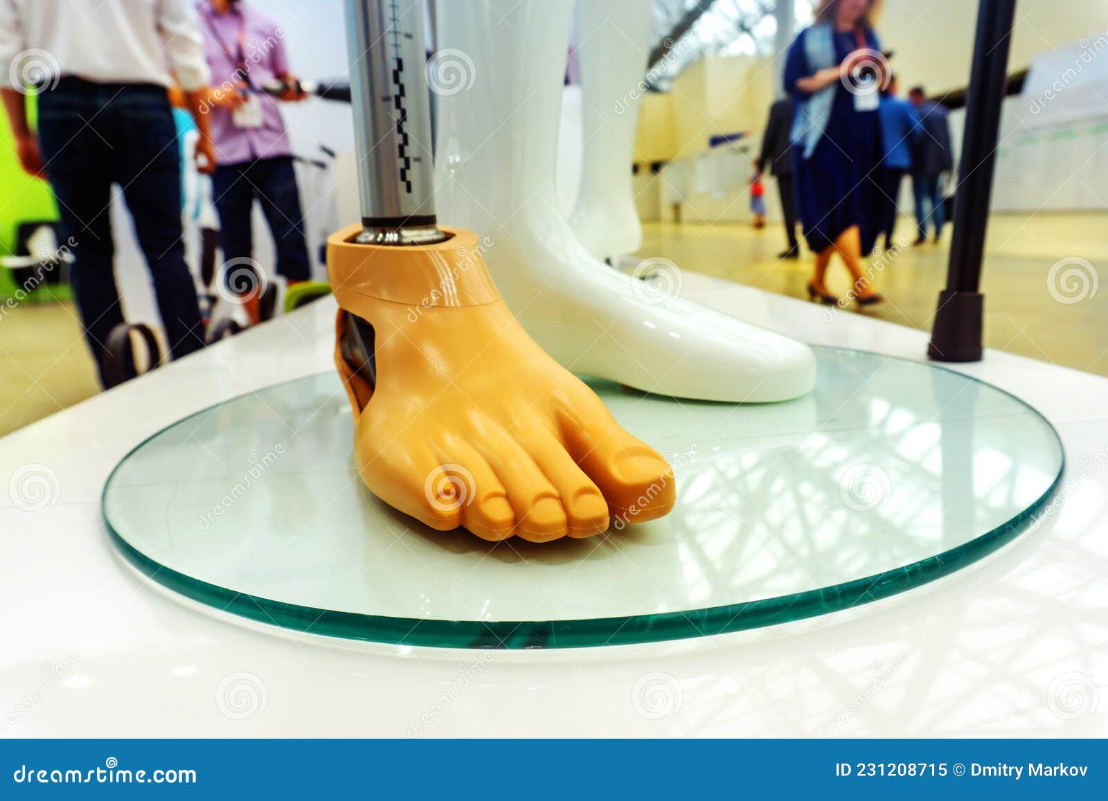 Plastic Prosthetic Foot. Exhibition Of Modern Prosthetics Technologies ...