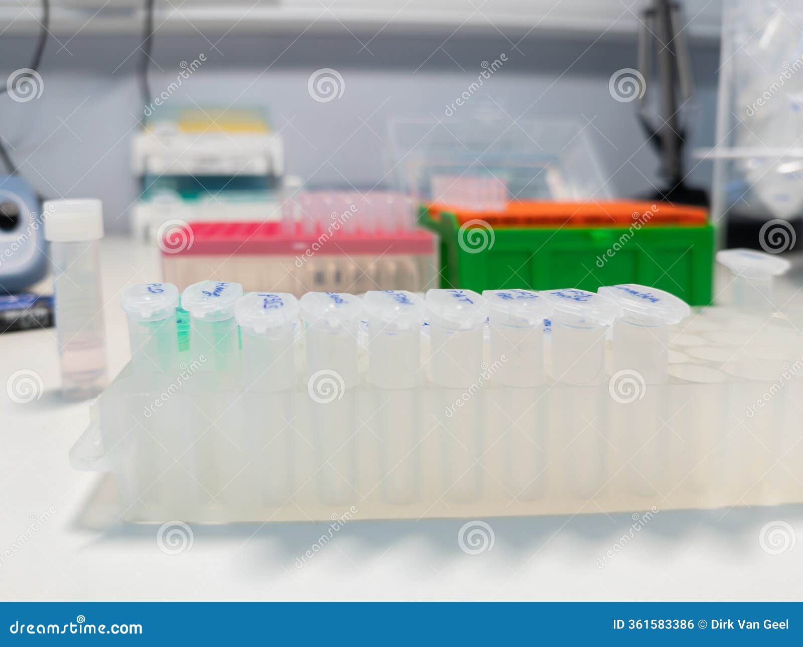 Plastic Rack with Eppendorf Tubes in a Laboratory on a Working Bench ...